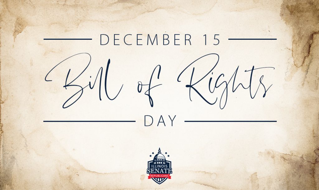 December 15 is Bill of Rights Day - Dave Syverson